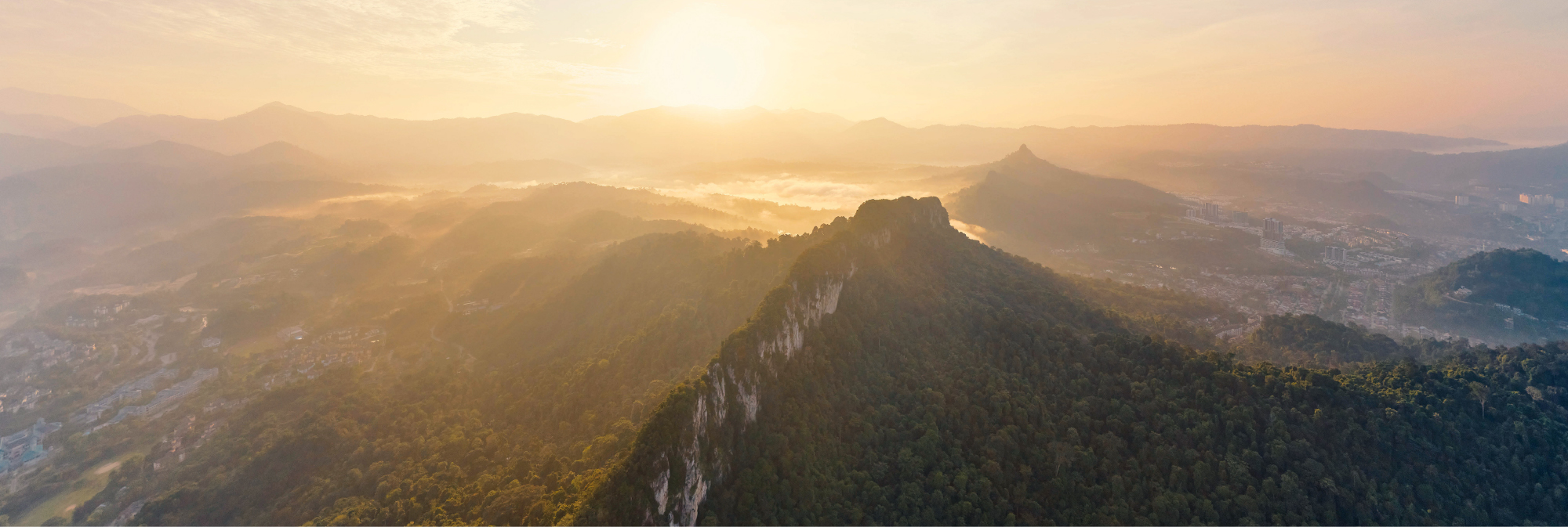 The Reya | Sime Darby Property